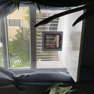 Cat Solarium Sunroom Package: the Ultimate Cat Window Box. - Etsy