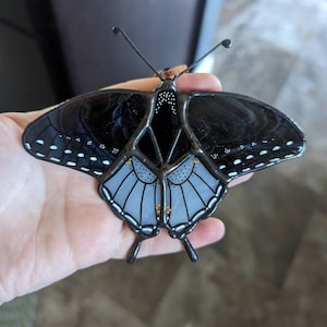 Blue Butterfly Stained Glass Butterfly Glass Wings Stained Glass Blue ...