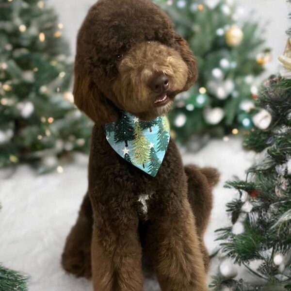 Happy New Year, Curved Neck Snap on Dog Bandana, Winter Pet Collar ...