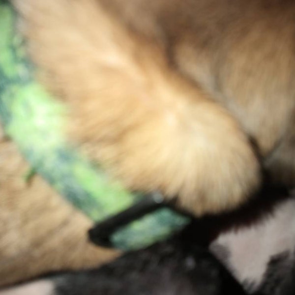 Jesus Take the Wheel Car Diffuser Car Air Freshener Christian Scented ...