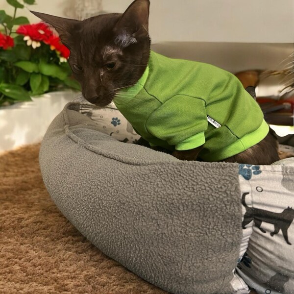 Premium Cat House is Made From Recyclable Cardboard Cubes With a Scratch Panel and Punch of ...