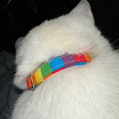 Strawberry Cat Collar Strawberry Kitten Collar Strawberry Collar ...