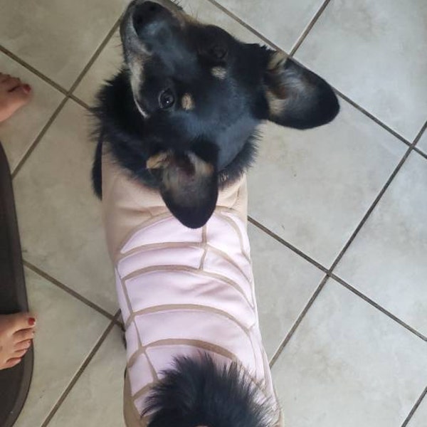 Dog Concha Costume, Concha Pan Dulce Dog Costume Halloween, Pet ...