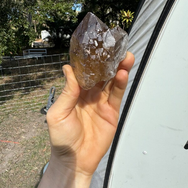 Ferruginous Quartz With Crystallised Epidote From the San Felipe Mine ...