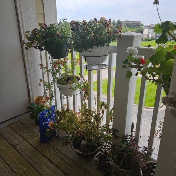 Planttraps Ledge Planter - Etsy