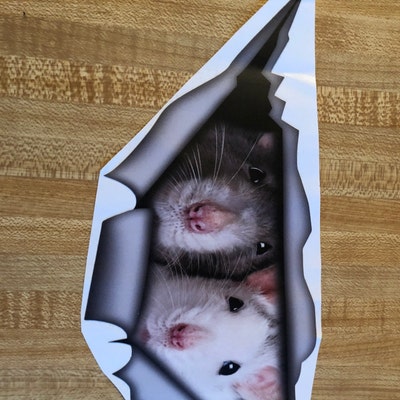 Rats Decal Funny Sticker Rats Car Sticker Rat Sticker Pet - Etsy