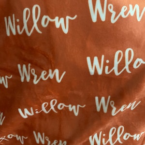 Plush Minky Name Blanket - Etsy