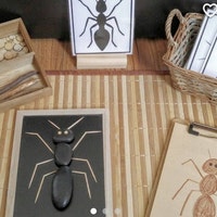 Loose Parts Insect/bug Exploration, Build a Bug, Fine Motor Skills ...