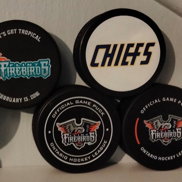 Metal Hockey Puck Display - 10 Puck Holder, Made in USA, Autographed ...