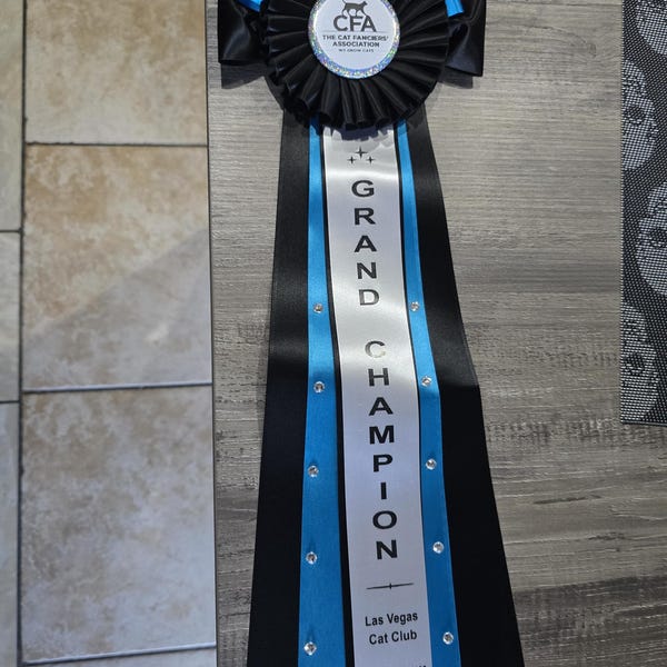 Personalized Ruffle Rosette Award Ribbon: Custom Pet Show Prize - Etsy