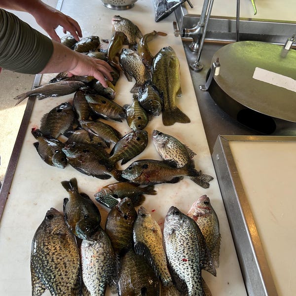 Size 10- Tungsten Bubble Minnow Jig 2 Pks - Etsy