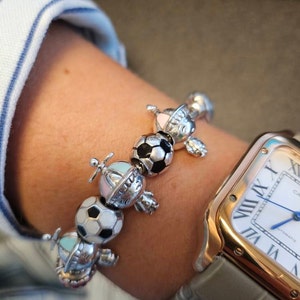 100th Anniversary Cinderella's Enchanted Charm,sliver Bracelet Charms ...