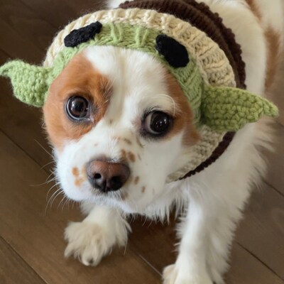 Baby Yoda Snood Cavalier Spaniel Snood Cocker English Toy Spaniel Snood ...