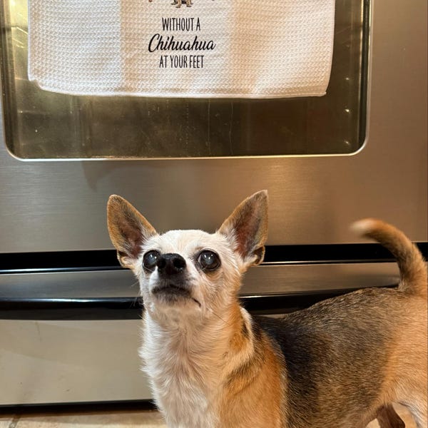 Thank You Cards, Boxing Themed Cards, Boxing Thank You Cards, Boxing ...