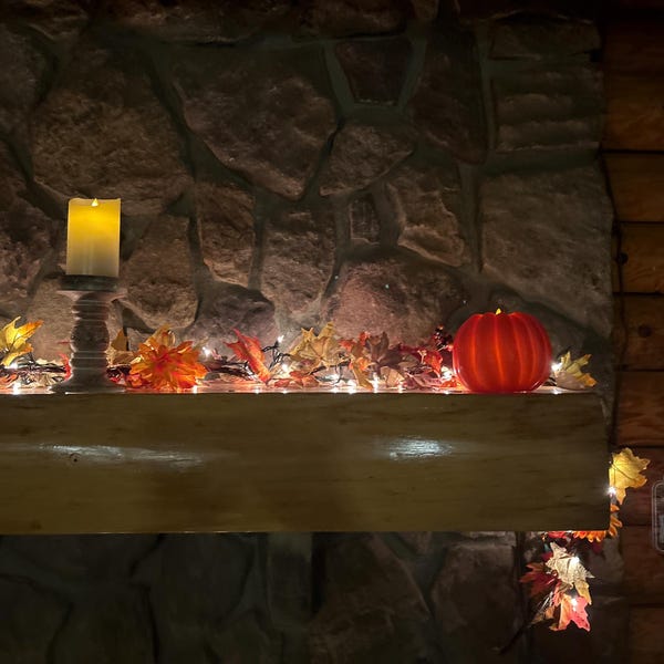 20 Count Light String / Strand / Set Brown Cord Clear Teeny Rice Light ...