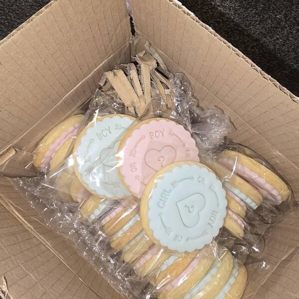 Mean Girls Style Burn Book Iced Sugar Cookies/ Cookie Favours - Etsy