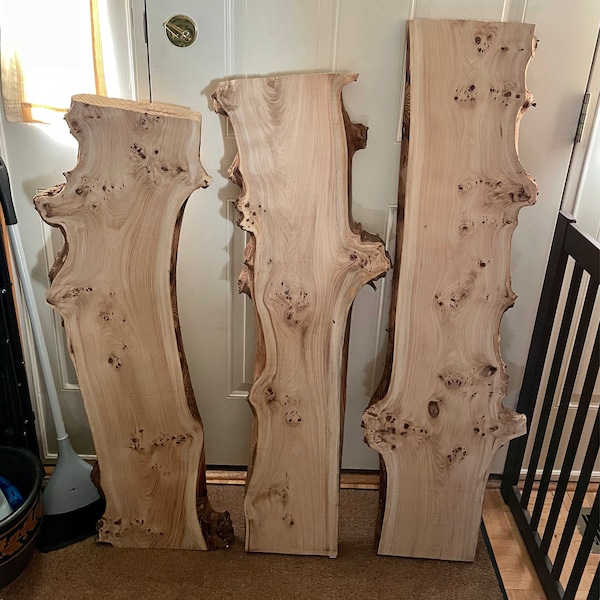 Elm Live Edge Slab, Live Edge Wood Slab, Live Edge Elm Slab, Wood for ...