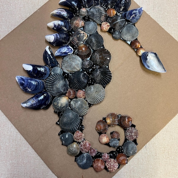 Maine Blue Mussel Shells ( 10 Shells per Order) - Etsy