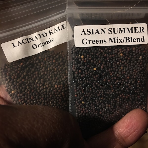 8-gram 5000+ Asian Summer Greens Seeds Mix Blend: Gai Lan, Yu Choi ...