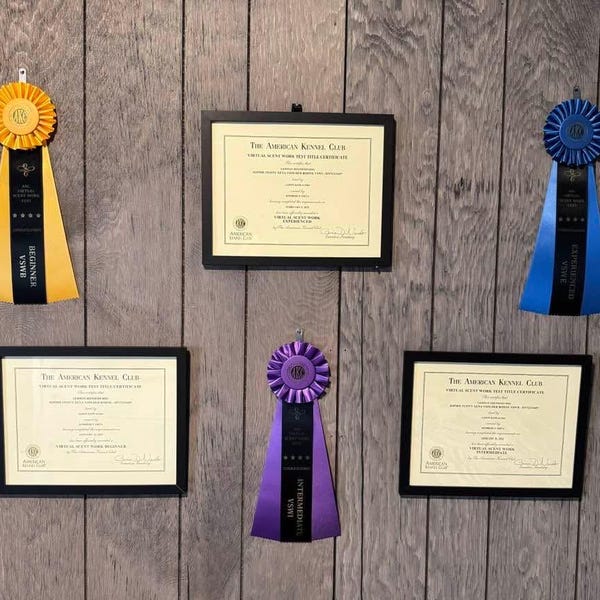 AKC Virtual Rally Title Ribbon Rosette - Novice, Intermediate, Advanced ...