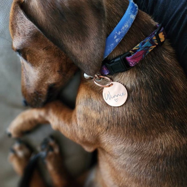 Cat Name Tag, Cat Tag, Cat Collar, Name Tag, Pet Tag, Personalised Cat ...