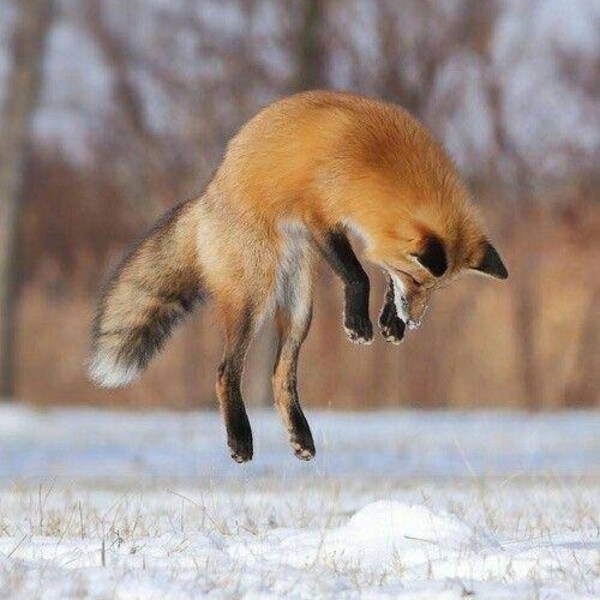 Tcm Grandpa Leatherface Rehauled B Mask Trick or Treat Sudios Myers ...