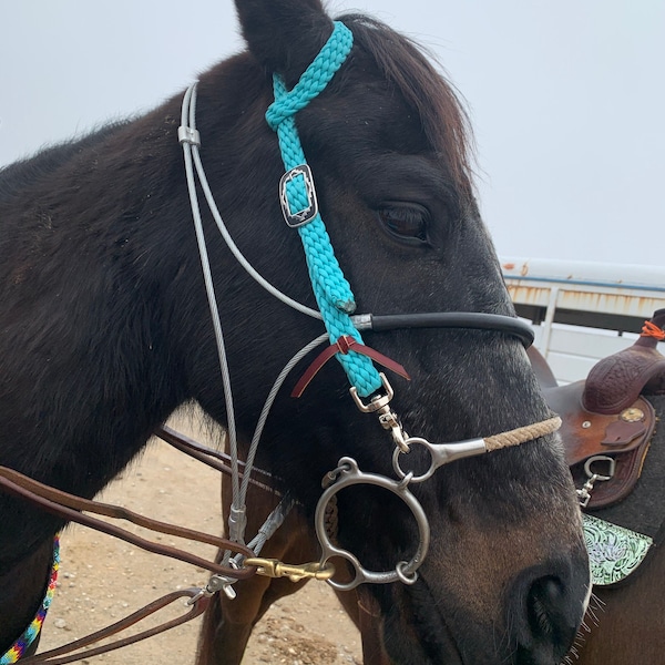 Custom One Ear Horse Headstalls/ Horse Bridle / Made to Order - Etsy