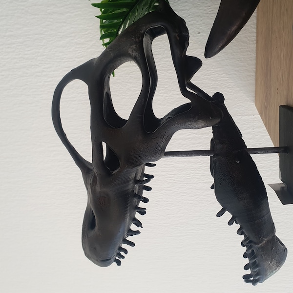 Museum Quality Brachiosaurus Skull Sculpture - Etsy