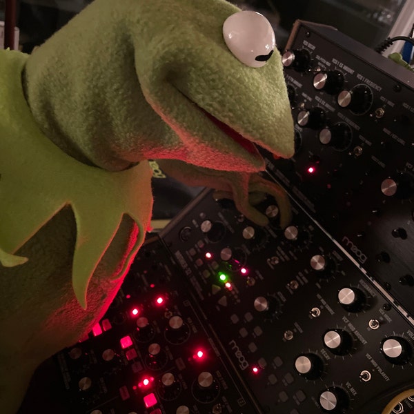 Kermits Cousin Professional Hand and Rod Puppet Replica - Etsy