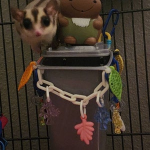 Sugar Glider Small Animal Foraging Pulley Toy-one per Price Alien Toy ...