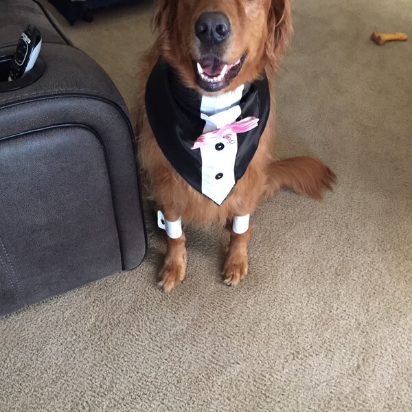 Dog Cuffs~non-slip Feature~dog Tuxedo~dog Cuffs With Satin Buttons to ...