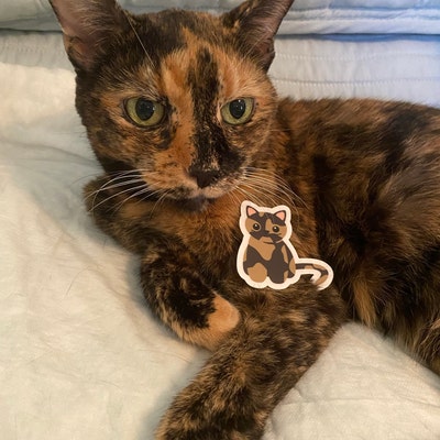 Tortie Cat Sticker, Cat Water Bottle Sticker, Tortoiseshell Cat ...