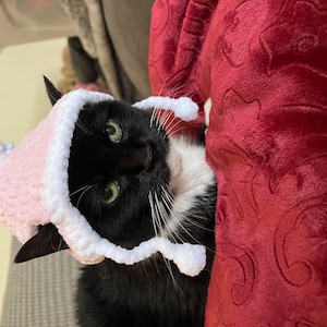 Royal Prince Nobility Clothes for Cats, Prince Crown for Cats, Handmade ...