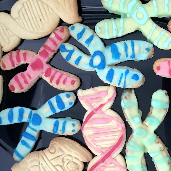 DNA Cookie Cutter: Microbiology, Genetics, Science - Etsy