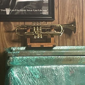 Horizontal Trumpet Display Stand - Etsy