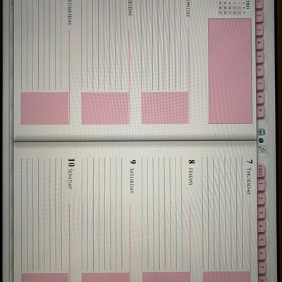 Digital PDF Weekly Planner for iPad Pro Air Mini 2024 to 2025 ...