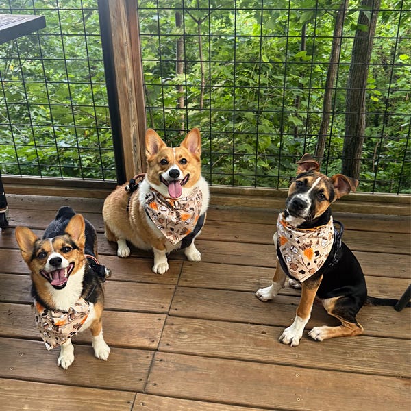 Sienna Bandana, Dog Bandana, Fall Dog Bandana, Over the Collar Dog ...