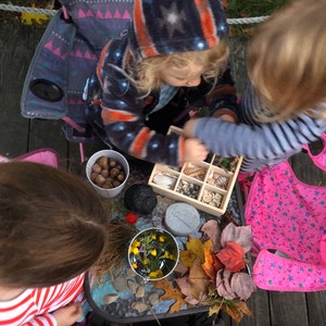 Honeycomb Bumblebee Counting Sensory Bin, Preschool Math, Montessori ...