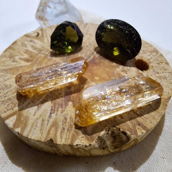 Fossilized Dino Dung COPROLITE Collected in Wyoming 1/3 of a Pound 145 ...