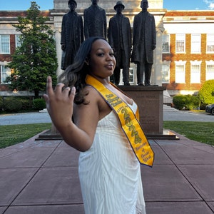 FAMU Shirt, Rattlers, Florida A & M, HBCU Shirt, Rattler Girl, FAMU - Etsy
