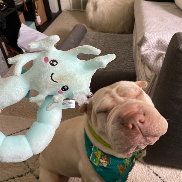 Nerdbugs Neuron (brain Cell) Plush Organ- Neurology Gift, Neurosurgeon ...