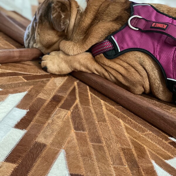 New Hand Tufted Ballard Design Persian Antelope 3X5 5X8 8X10 9X12 Rug ...