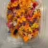 Fresh Edible Flowers Micro Flowers Blend™ 200 Ct - Etsy