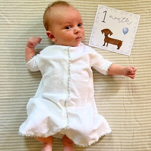 Watercolor Pink Party Dog Heads Digital Clip Art Set Instant Download ...