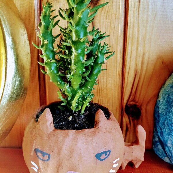 The Big Headed Cat. Ceramic Handmade Plant Pot. Succulent Pot. Cactus Pot. Grumpy Cat ...