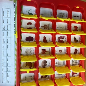 7 Continent Pin Poking Set - Etsy