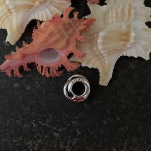 Cebu Beauty Snail Shells 1/23/4jewelry Seashell | Etsy