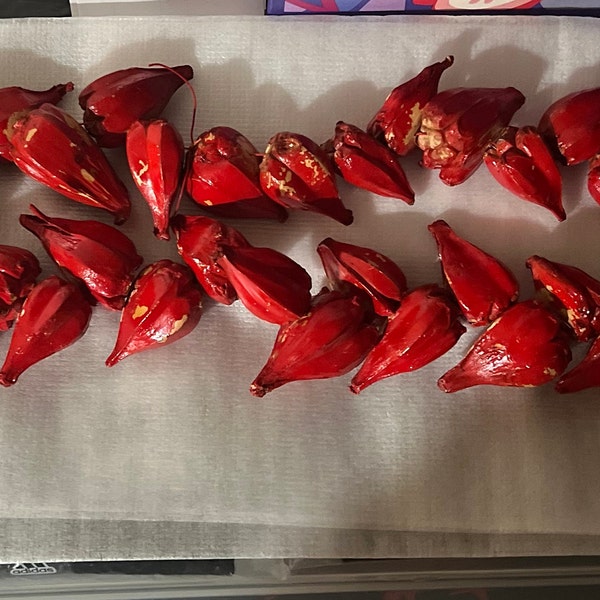 Polynesian, Samoan, Tongan Men's Traditional - Ula Fala Necklace ...