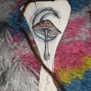 Real Mole Bone Displays. Bone Display. Mounted Mole Bones. - Etsy UK