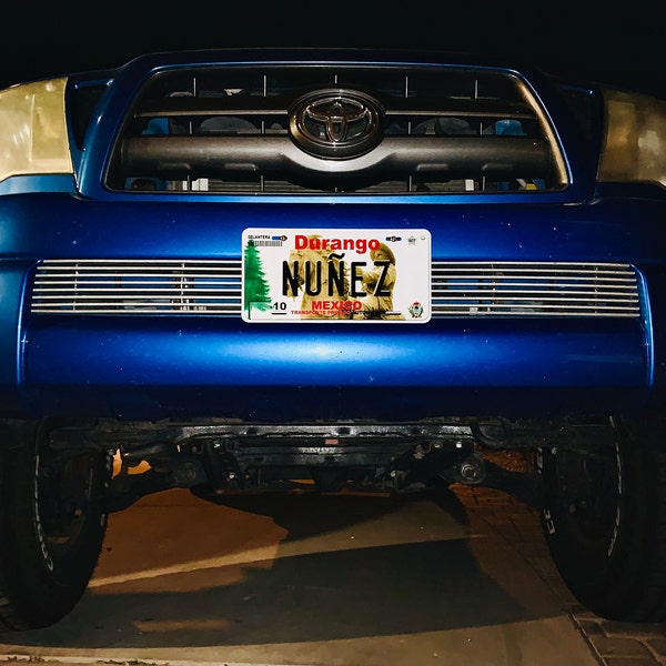 Durango Mexico License Plate 01 - Etsy